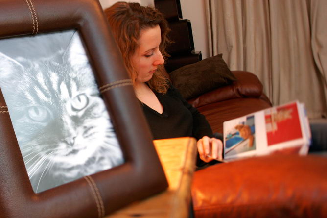 Coping with the death of your cat | CatDogFish